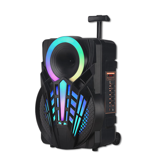 TS-12A Volcano Series Speaker with Mic – SSBright