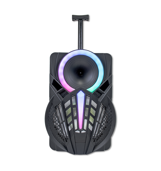 TS-12A Volcano Series Speaker with Mic – SSBright